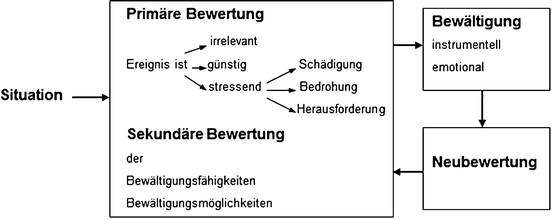 Theorien der Stressentstehung und -bewältigung | SpringerLink