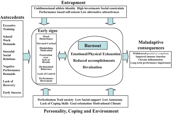Burnout in Athletes | SpringerLink