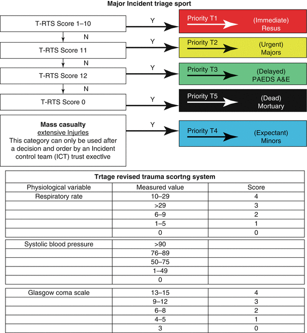 Mass Casualties and Triage in Military and Civilian Environment ...