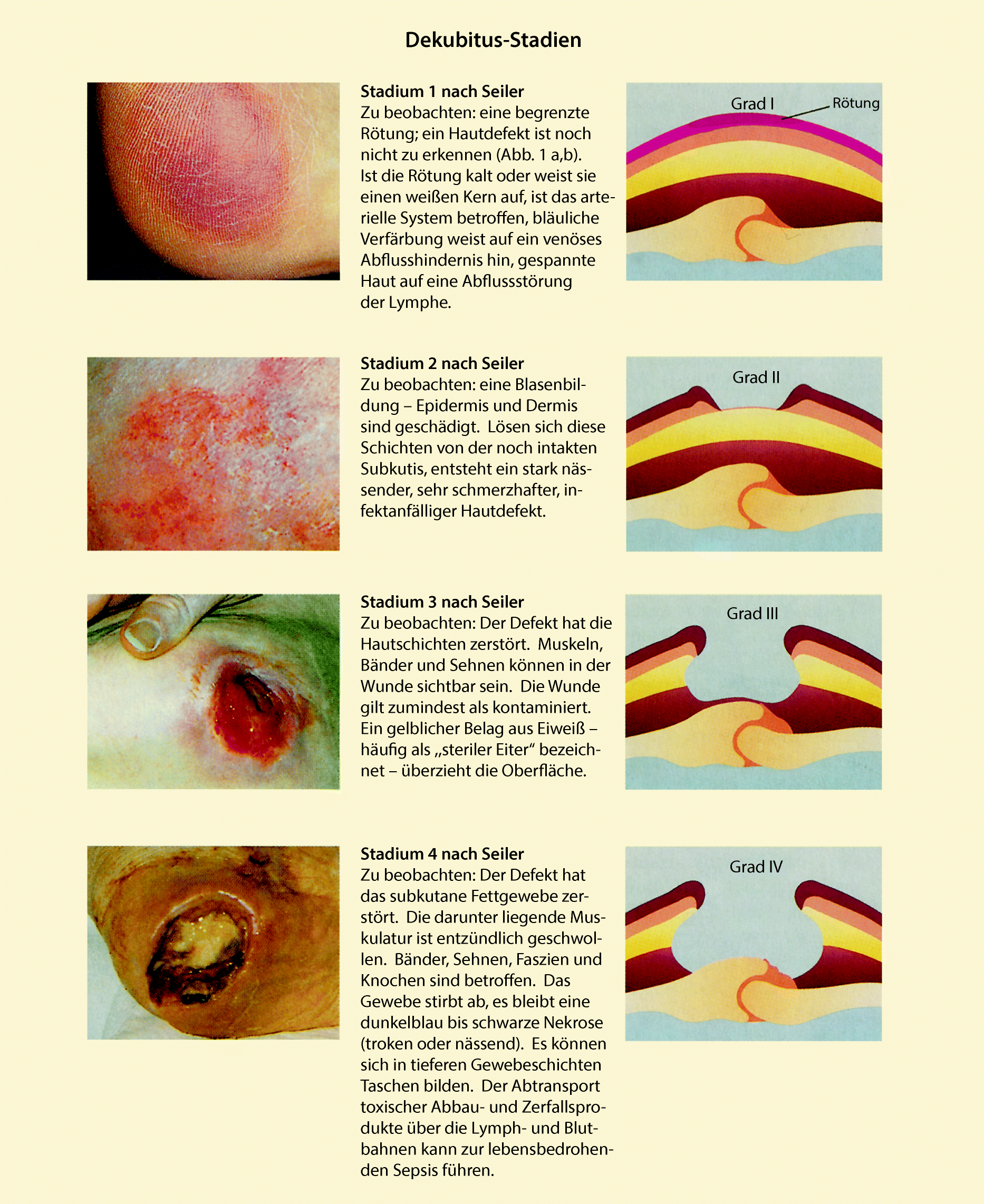 Körperpflege und Dienstübergabe | SpringerLink