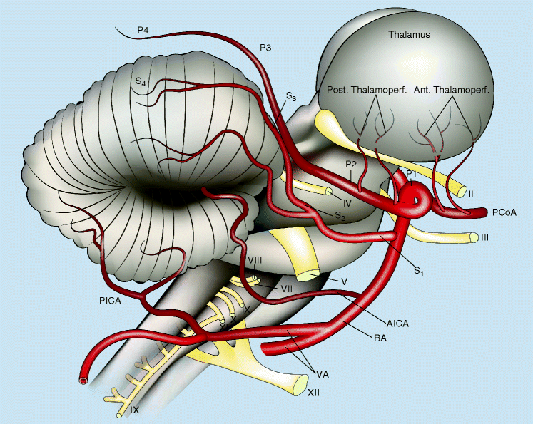Anatomische Varianten zerebraler Gefäße | SpringerLink