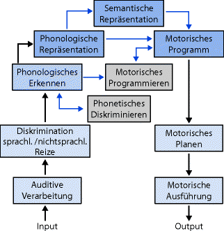 Kindlicher Lauterwerb und Aussprachestörungen | SpringerLink