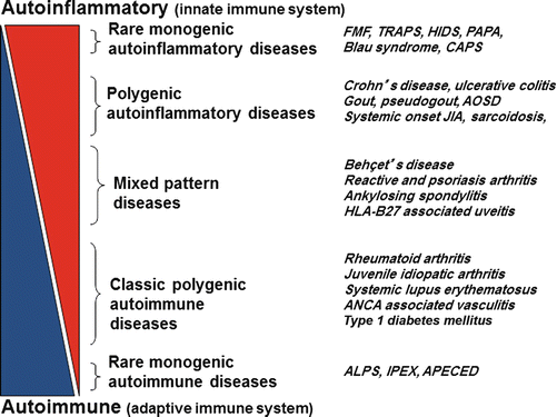 Autoinflammatory Disorders | SpringerLink