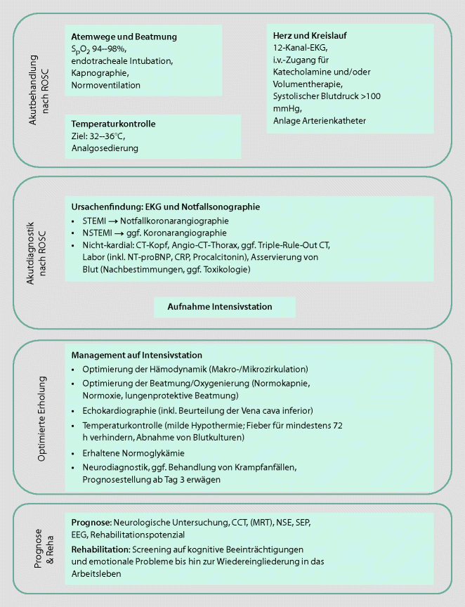Kardiopulmonale Reanimation | SpringerLink