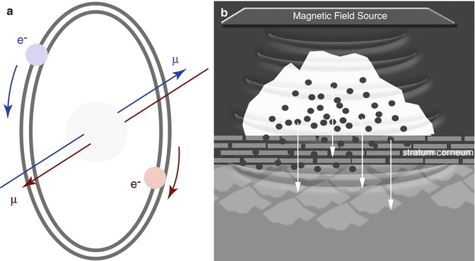 Magnetophoresis: Skin Penetration Enhancement by a Magnetic Field ...