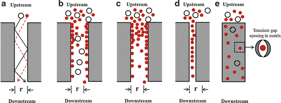 Hydrogen Separation Membranes of Polymeric Materials | SpringerLink