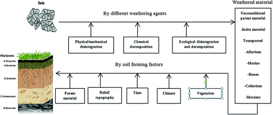 Introduction to Soils | SpringerLink