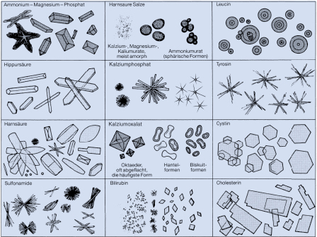 Praxisalltag | SpringerLink