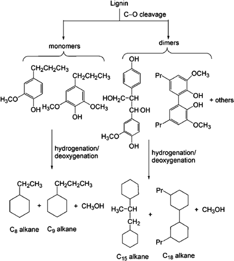 Degradation of Lignin by Depolymerization | SpringerLink