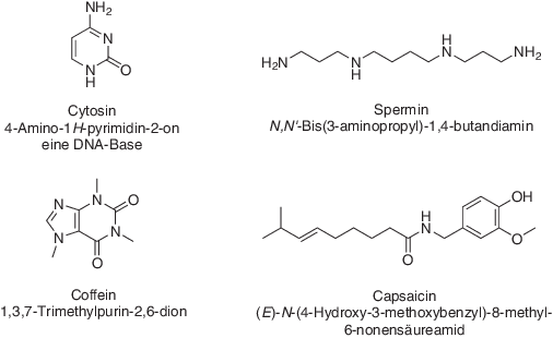 Amine | SpringerLink