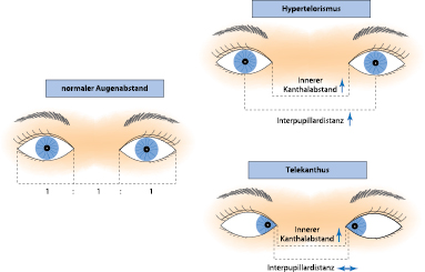 Genetische Sprechstunde | SpringerLink