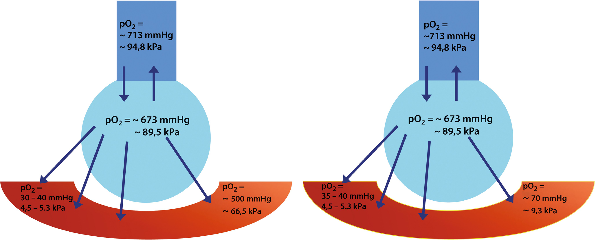 BGA-Blutgasanalyse | SpringerLink