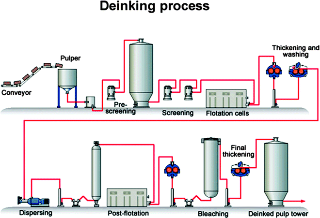 Pulp Fibers for Papermaking and Cellulose Dissolution | SpringerLink