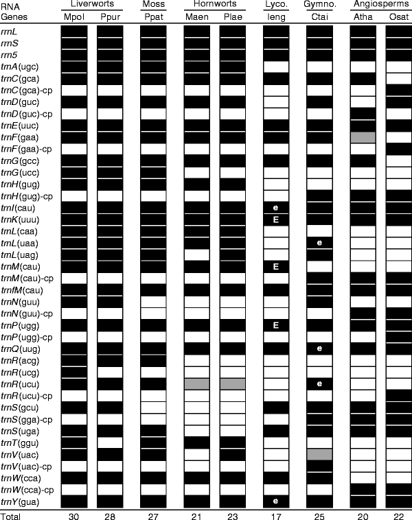 Plant Mitochondrial Genome Diversity: The Genomics Revolution ...
