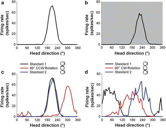 Head Direction Cells: From Generation to Integration | SpringerLink