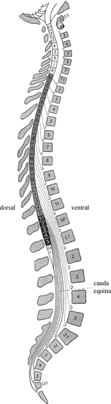 Grundlagen | SpringerLink