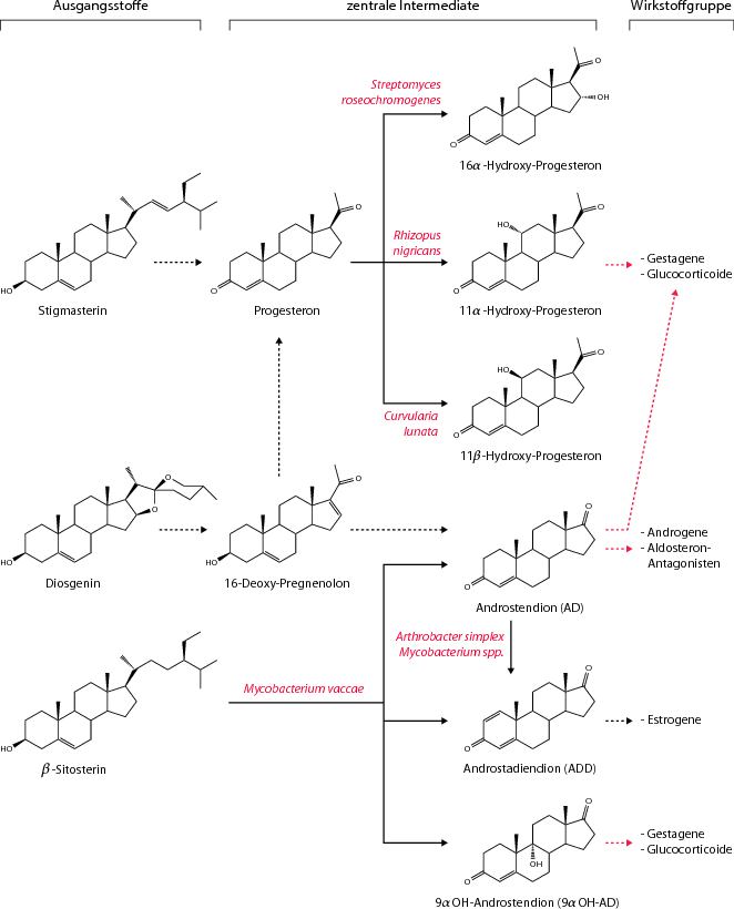 Steroide und Aromastoffe | SpringerLink