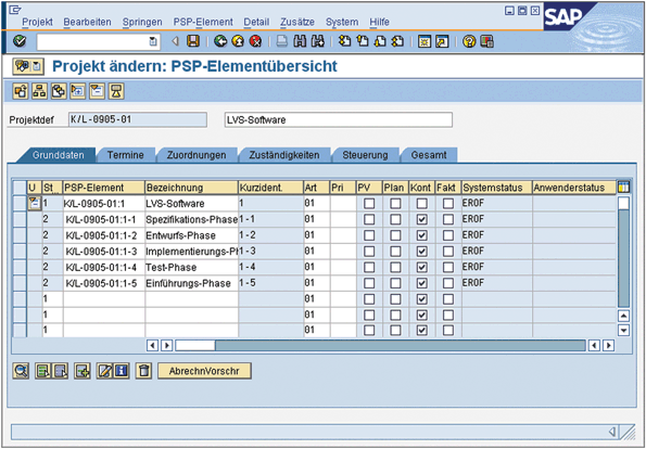 Aufbau einer Projektstruktur in SAP ERP | SpringerLink
