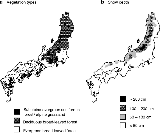 Regional, Temporal, and Interindividual Variation in the Feeding ...