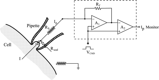 Patch-Clamp Techniques: General Remarks | SpringerLink