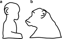 The Role of Neoteny in Human Evolution: From Genes to the Phenotype ...