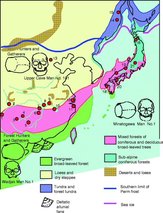 Discovery of the Yangtze River Civilization in China | SpringerLink