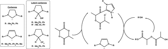 Cyclic Monomers: Epoxides, Lactide, Lactones, Lactams, Cyclic Silicon ...