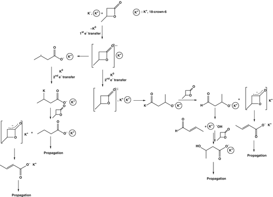 Cyclic Monomers: Epoxides, Lactide, Lactones, Lactams, Cyclic Silicon ...