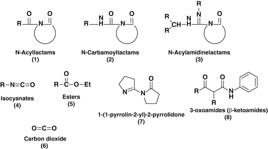 Cyclic Monomers: Epoxides, Lactide, Lactones, Lactams, Cyclic Silicon ...