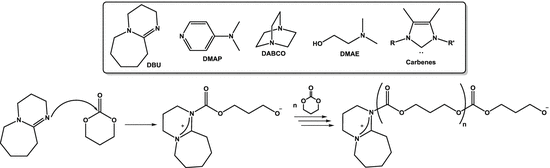 Cyclic Monomers: Epoxides, Lactide, Lactones, Lactams, Cyclic Silicon ...