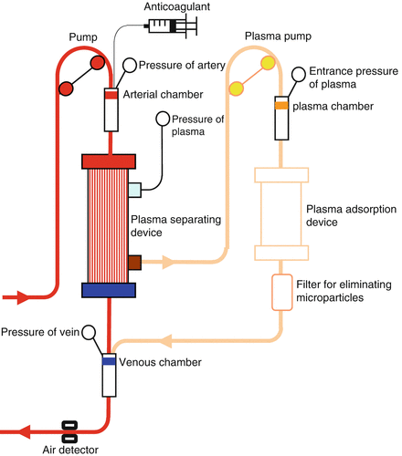 Plasma Adsorption | SpringerLink