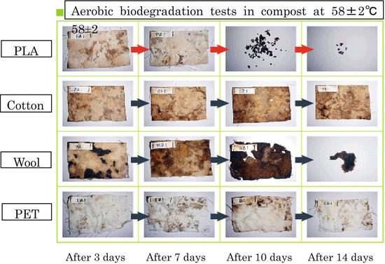 Bicomponent Polyester Fibers for Nonwovens | SpringerLink