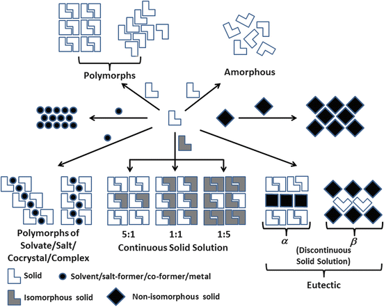 Polymorphism in Molecular Crystals and Cocrystals | SpringerLink
