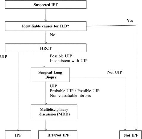 Definition of IPF | SpringerLink