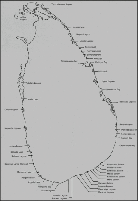 Mangrove Diversity Across Salinity Gradient in Negombo Estuary-Sri ...