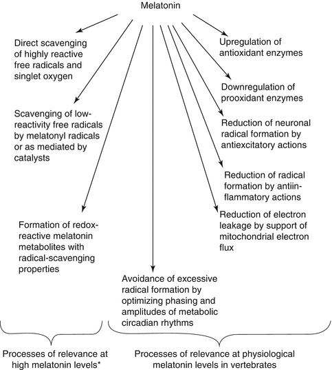 Melatonin’s Antioxidant Properties: Molecular Mechanisms | SpringerLink