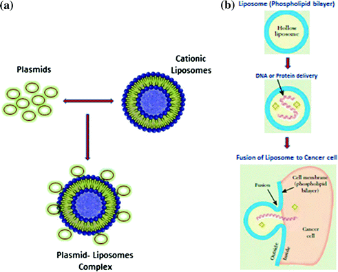 Gene Therapy | SpringerLink