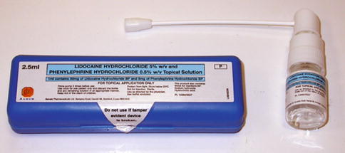 Nasal Endoscopic Evaluation | SpringerLink