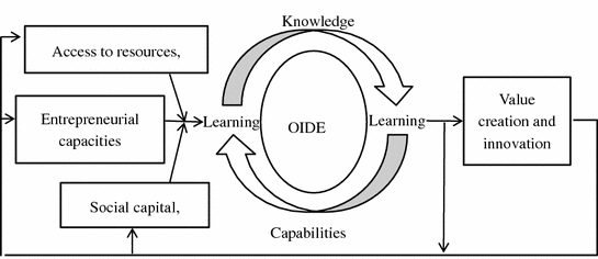 Conceptualizing the Process of Opportunity Identification in ...