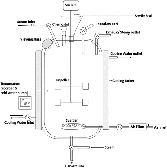 Fermentation Technology | SpringerLink