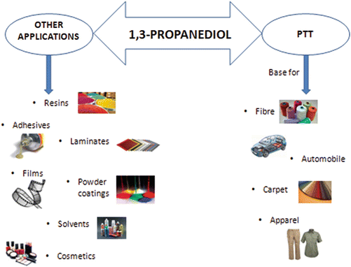Recent Achievements in the Production of Biobased 1,3-Propanediol ...