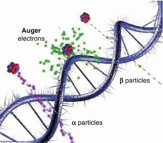 Auger Electron-Based Radionuclide Therapy | SpringerLink