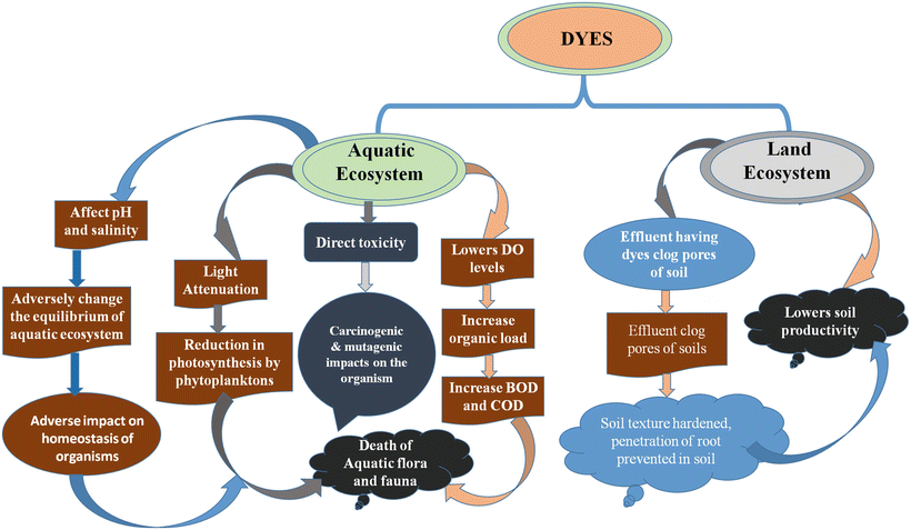 Remediation of Dyes from Aquatic Ecosystems by Biosorption Method Using ...