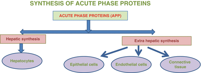 Acute-Phase Proteins and Responses and Their Application in Clinical ...