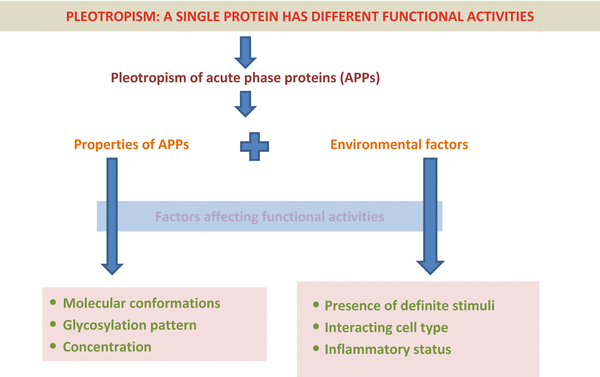 Acute-Phase Proteins and Responses and Their Application in Clinical ...