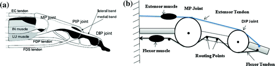 A Three Finger Tendon Driven Robotic Hand Design and Its Kinematics Model | SpringerLink