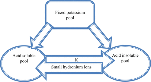 Mechanism of Potassium Solubilization in the Agricultural Soils by the ...