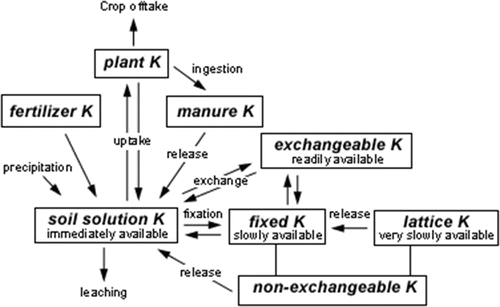 Potassium-Solubilizing Microorganisms: Mechanism and Their Role in ...
