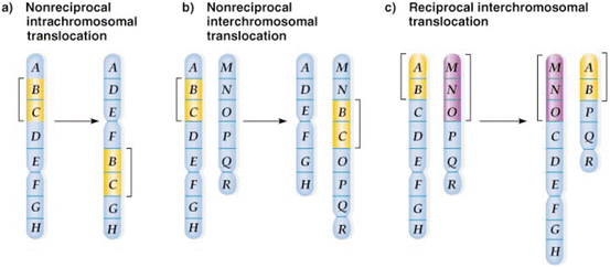Structural Changes in Chromosomes | SpringerLink