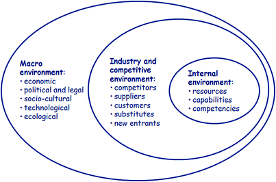 External and Internal Analysis of the Environment | SpringerLink